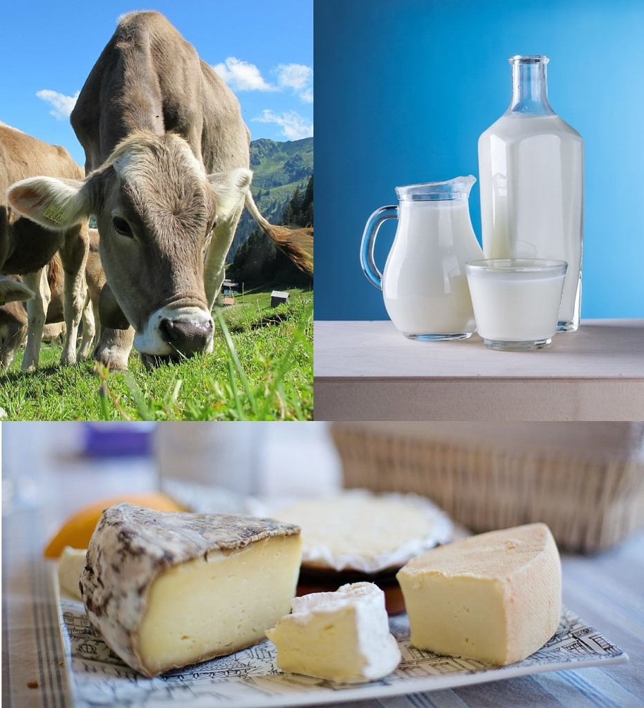 Introduction to Evolution - Part 1: The Basics - Good Horse