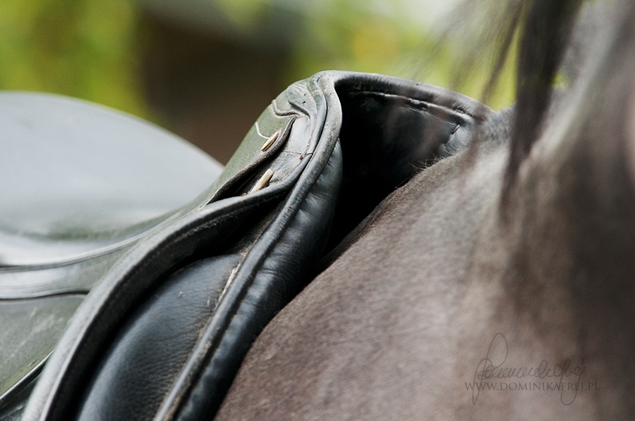 Saddle fit: a video guide - Good Horse