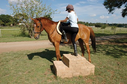 Why you should mount your horse from both sides - Good Horse