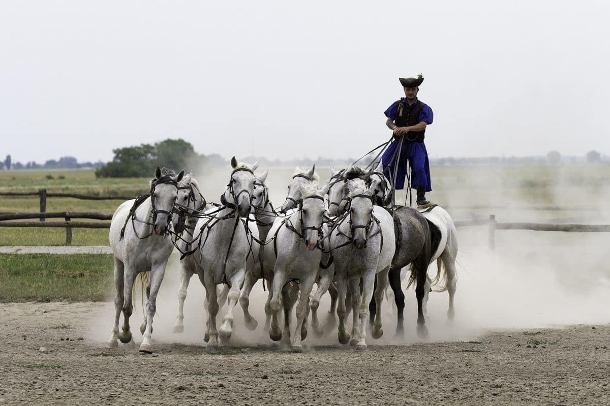 3 Tips for Fearless Riding - Good Horse