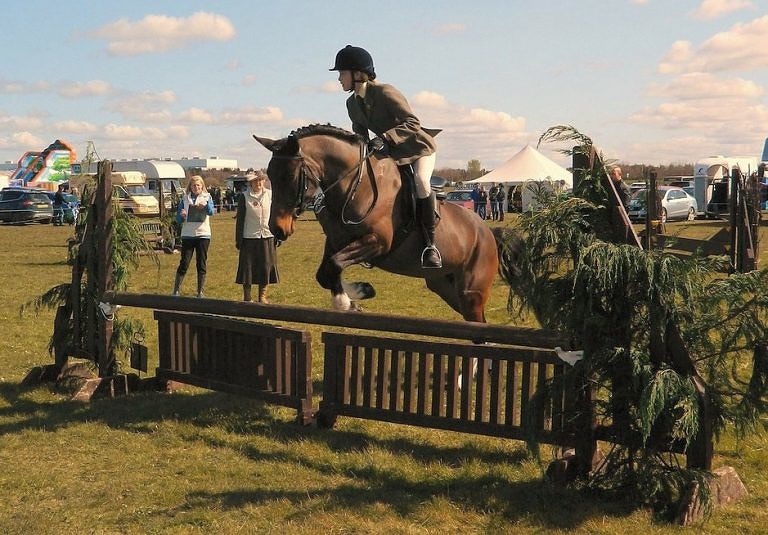 Why you should mount your horse from both sides - Good Horse